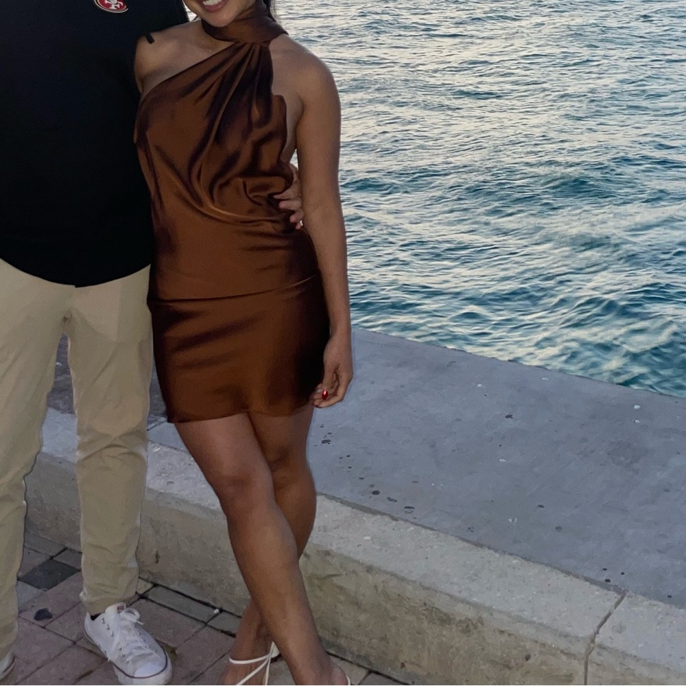 Rat And Boa Serafia Dress Cocoa - Gem